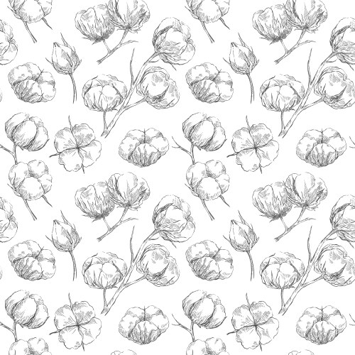 Seamless cotton pattern Royalty Free Vector Image