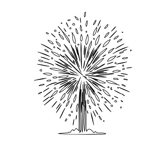 Celebration fireworks splash outline sketch Vector Image