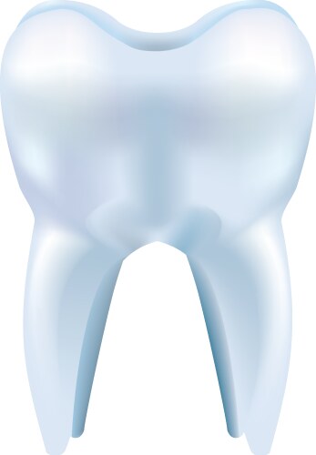Tooth Vector Images (over 130,000)