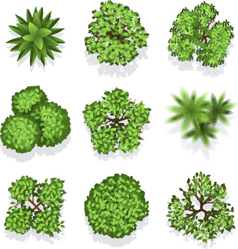 Tree top view for landscape Royalty Free Vector Image