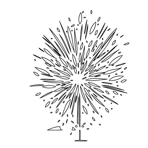 Celebration fireworks splash outline sketch Vector Image