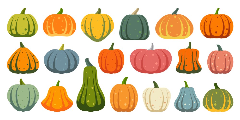 Squash Clipart Vector Images (over 1,300)