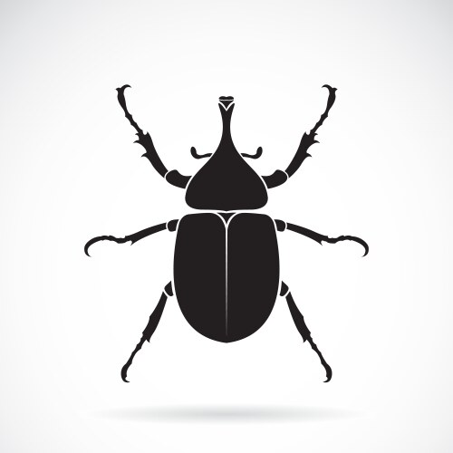 Hercules Beetle Vector Images (over 190)