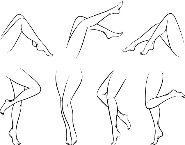 Leg Outline Vector Images (over 35,000)
