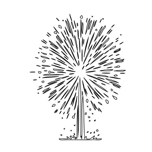 Celebration fireworks splash outline sketch Vector Image