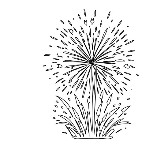 Celebration fireworks splash outline sketch Vector Image