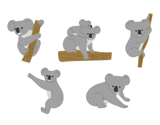 Koala single 8 Royalty Free Vector Image - VectorStock