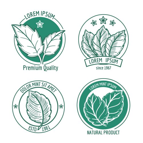 Mint leaves Royalty Free Vector Image - VectorStock