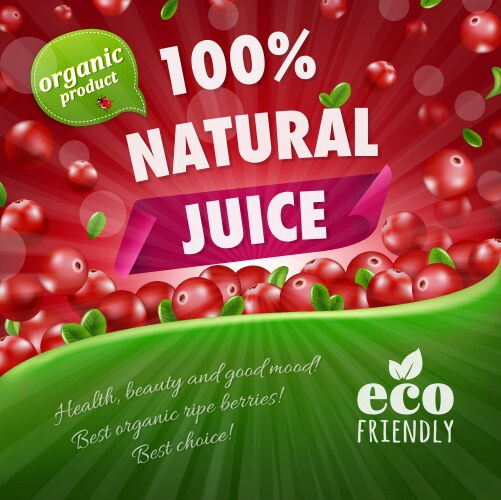 Berry borders with transparent background Vector Image