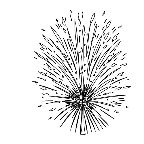 Celebration fireworks splash outline sketch Vector Image