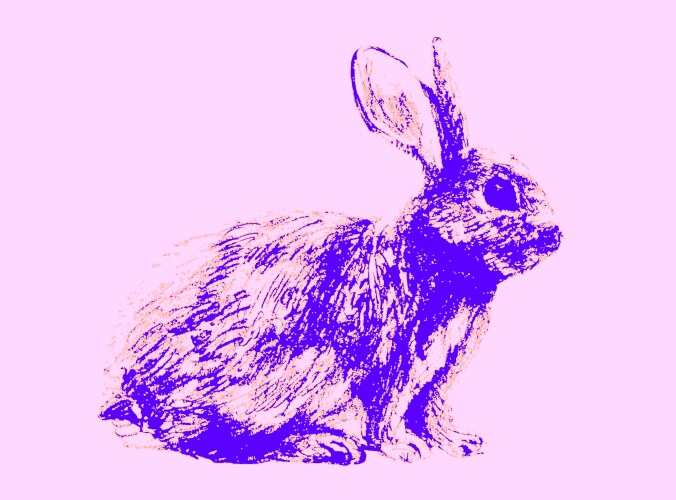 Rabbit Sketch Vector Images (over 14,000)