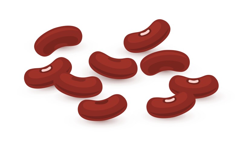 Cartoons Kidney Vector Images (over 4,100)