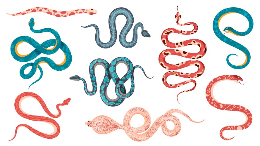 Snakes Vector Images (over 53,000)