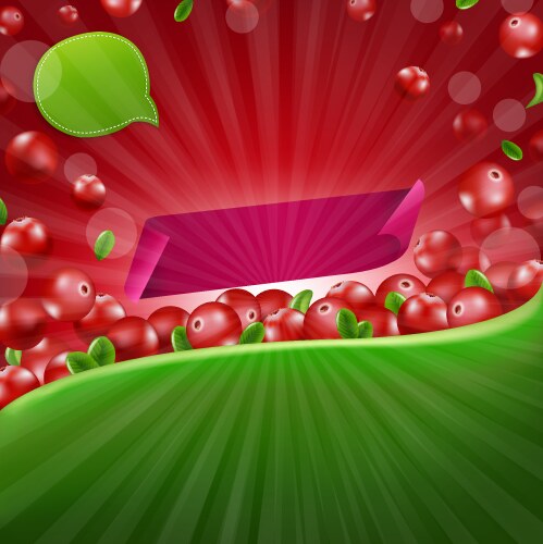 Berry borders with transparent background Vector Image
