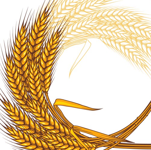 Wheat Vector Images (over 130,000)