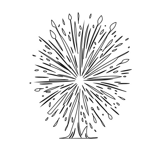 Celebration fireworks splash outline sketch Vector Image