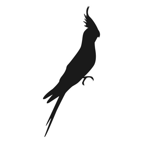 Cockatiel Vector Images (over 810)