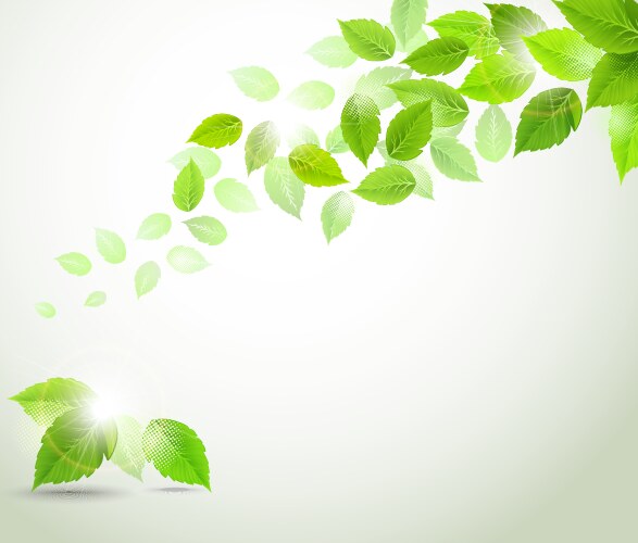 Natural background with green spring leaves Vector Image