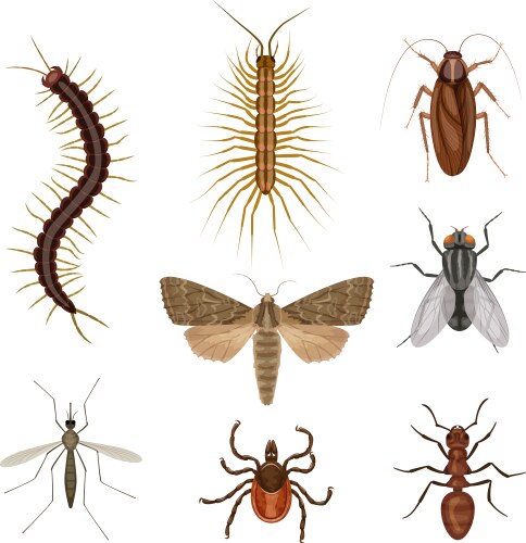 Cartoon Insects Vector Images (over 68,000)