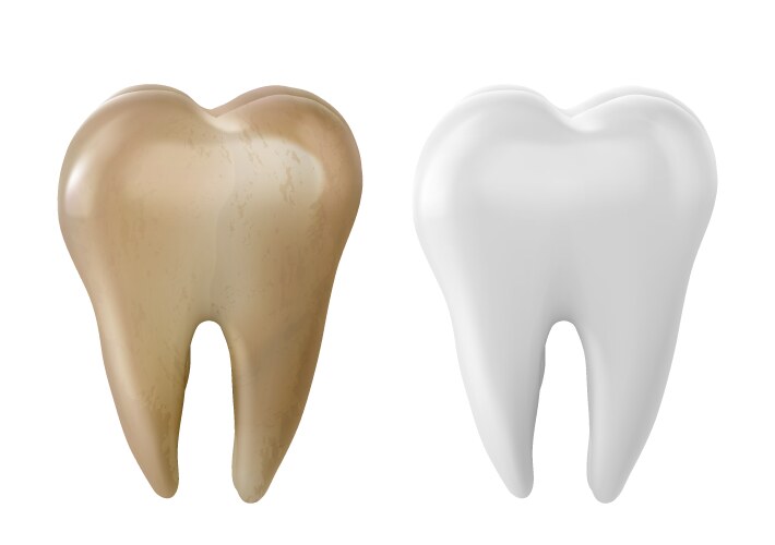 Yellow Teeth Vector Images (over 10,000)