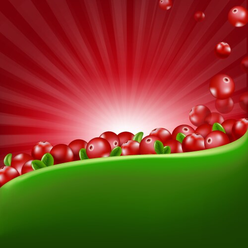 Berry borders with transparent background Vector Image