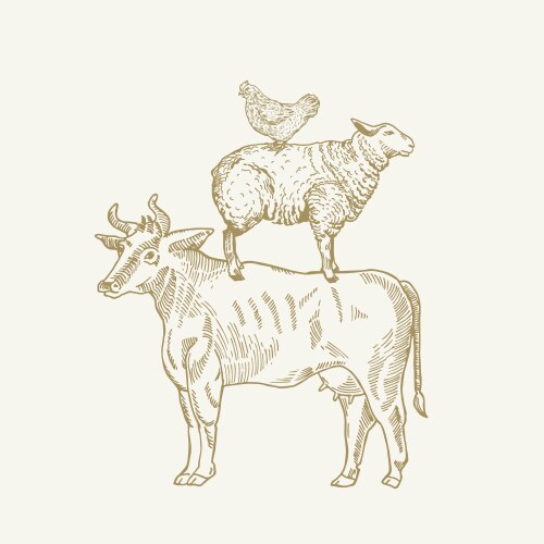 Cows hand draw Royalty Free Vector Image - VectorStock
