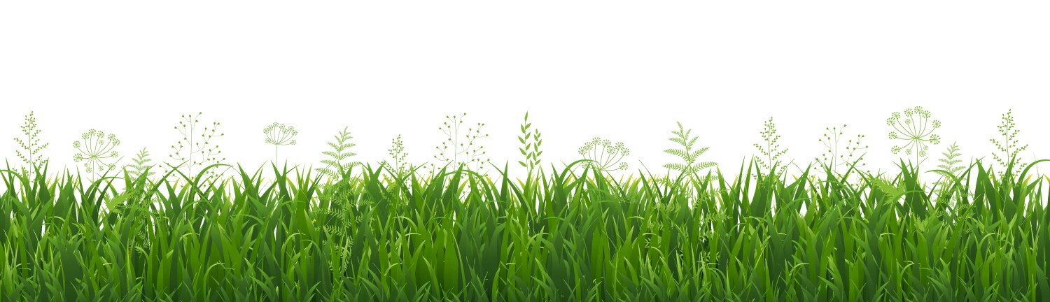 Spring grass seamless border floral Royalty Free Vector