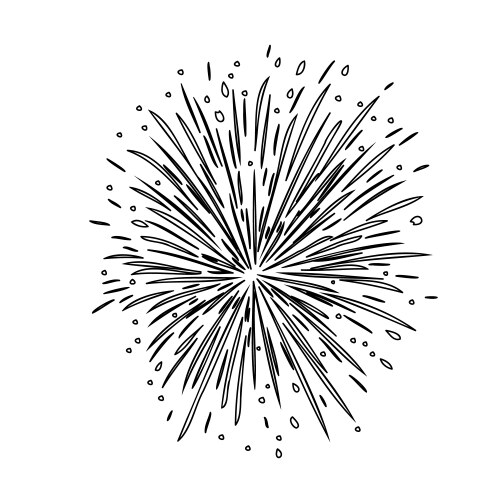 Celebration fireworks splash outline sketch Vector Image