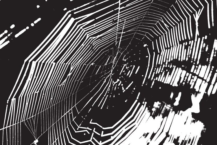 Spider Web Vector Images (over 36,000)