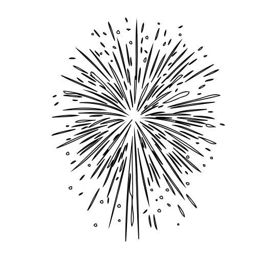 Celebration fireworks splash outline sketch Vector Image