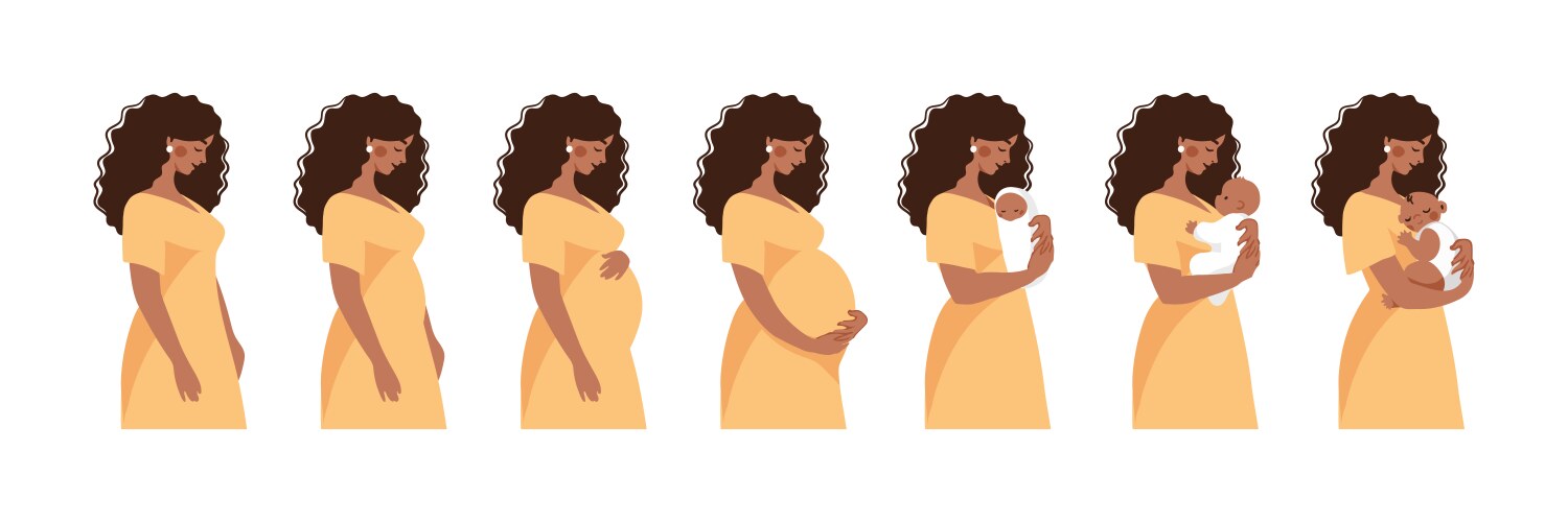 Development Stages of Woman Vector Images (over 780)