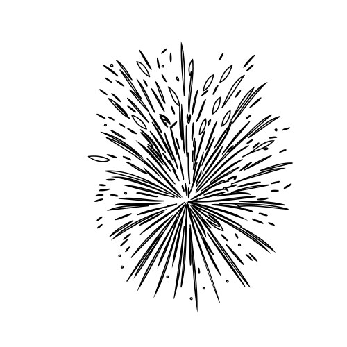 Celebration fireworks splash outline sketch Vector Image