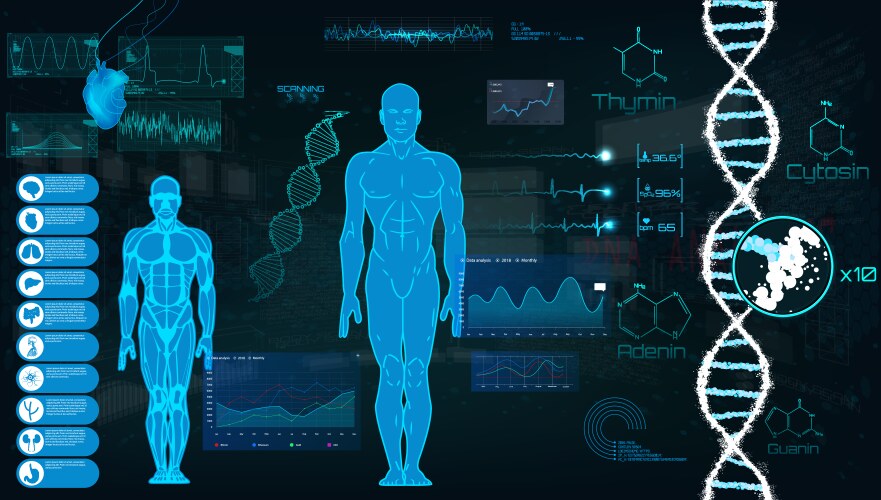 Muscular System Vector Images (over 2,600)