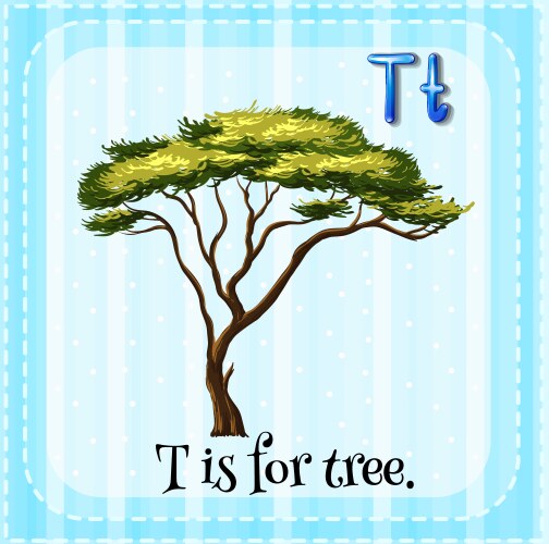 Flashcard of t is for twelve Royalty Free Vector Image