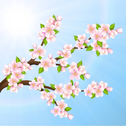 Sakura Vector Images (over 35,000)
