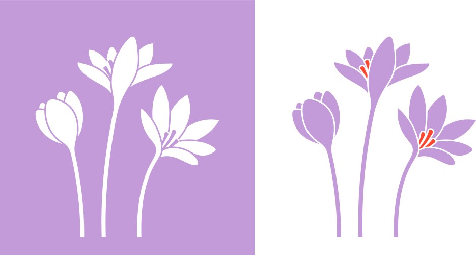 Saffron Vector Images (over 7,800)
