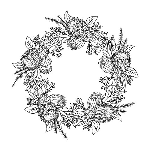 Protea Border Vector Images (over 330)