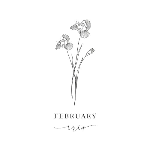Birth month flowers bundle Royalty Free Vector Image
