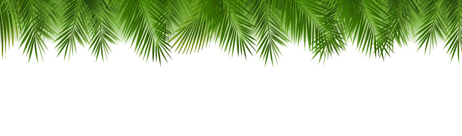 Leaf Border Vector Images (over 150,000)