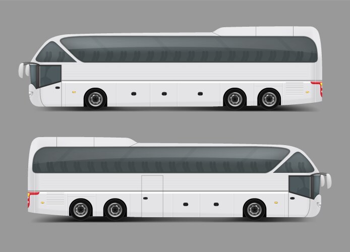 Tour buses Royalty Free Vector Image - VectorStock