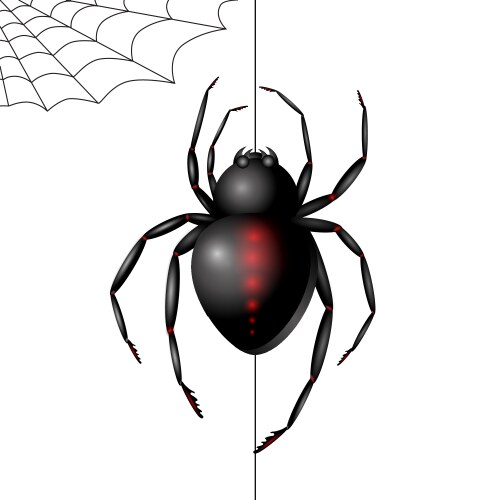 Spider Vector Images (over 74,000)