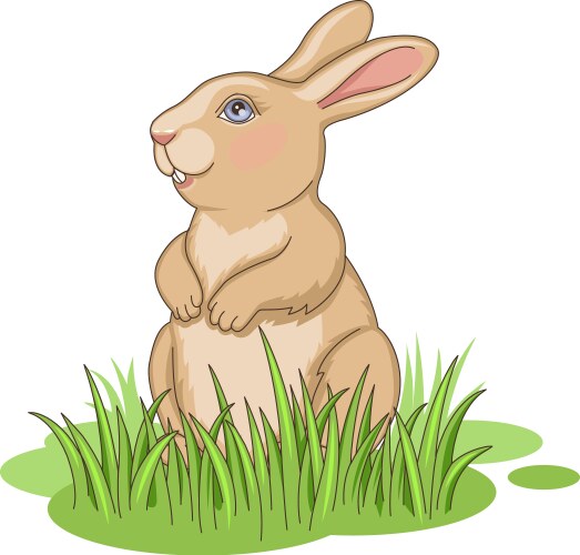 Rabbit Vector Images (over 200,000)