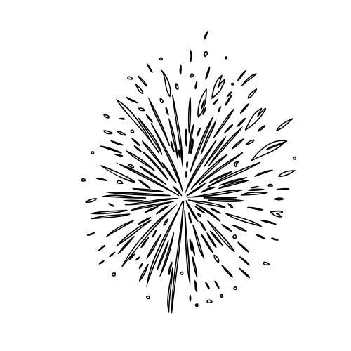 Celebration fireworks splash outline sketch Vector Image