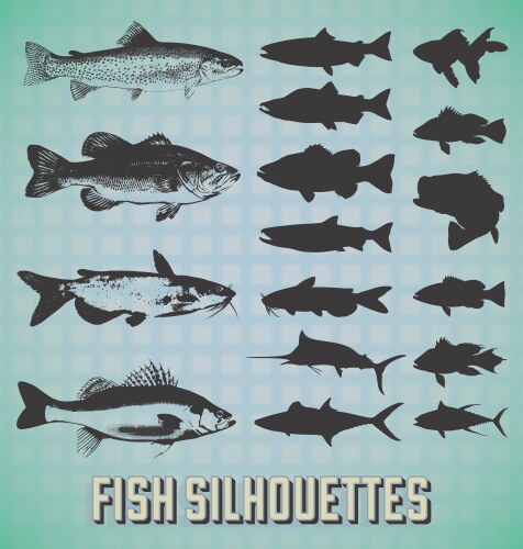 Fish Vector Images (over 530,000)