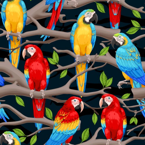 Macaw Vector Images (over 8,900)