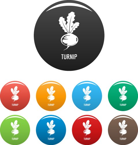 Turnip Vector Images & Graphics for Commercial Use | VectorStock
