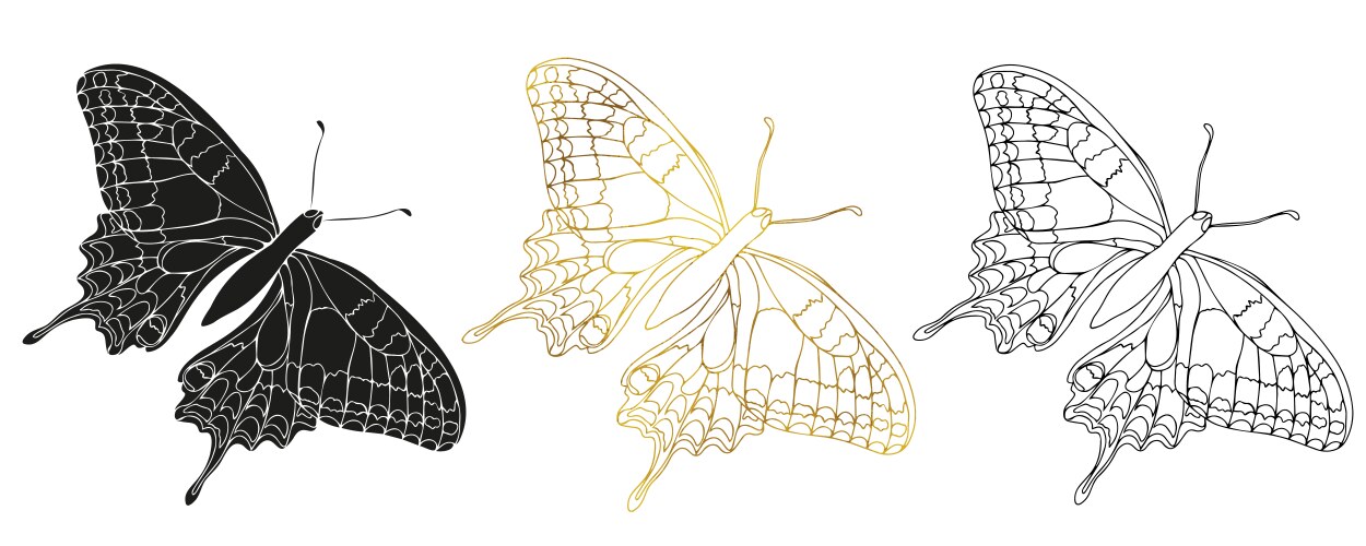 Butterfly black ink line art silhouette Royalty Free Vector