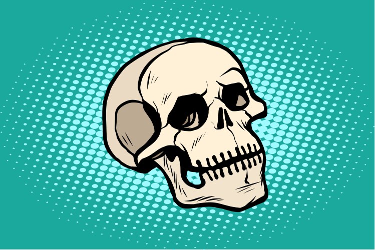 Skull Front Facing Vector Images (over 2,200)
