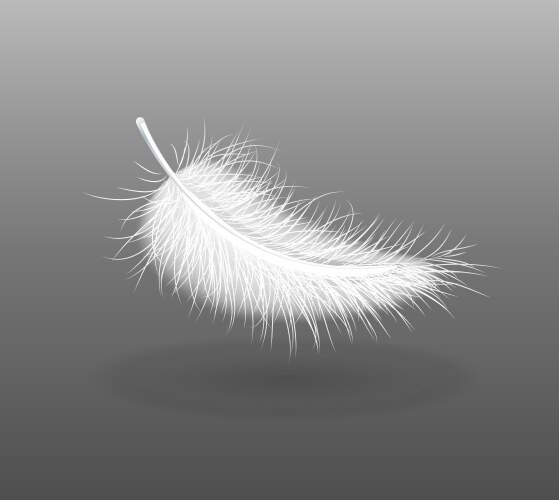 Feather Falling Icon Vector Images (over 1,600)