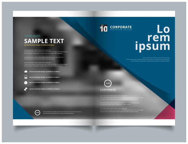 Brochure geometric layout design template annual Vector Image